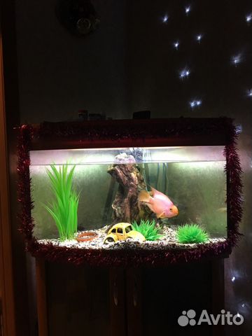Аквариумный комплекс с тумбочкой на 110 литров