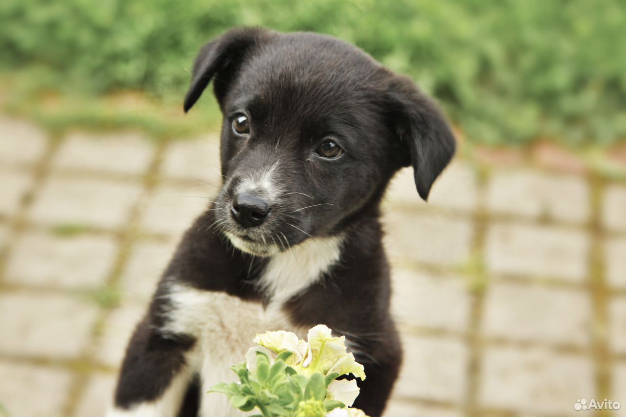 Замечательная девочка 2-3 месяца