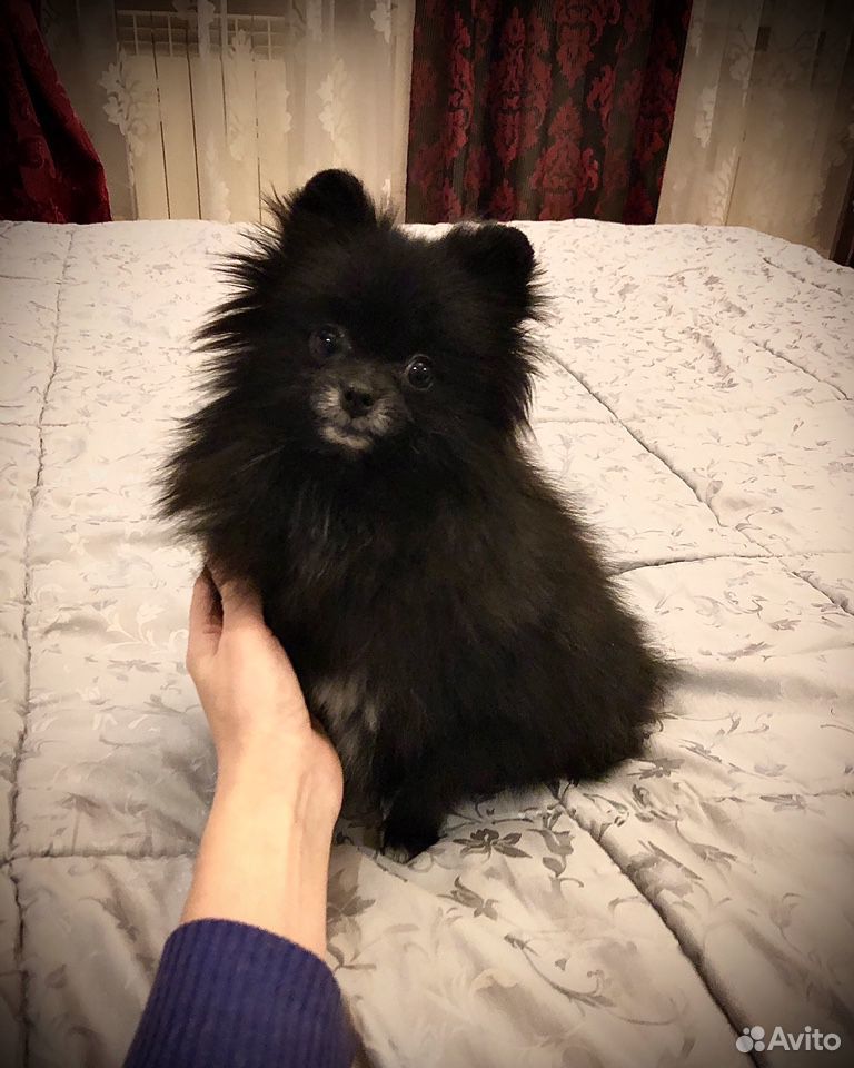 Чёрная девочка супер мини