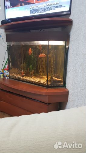 Аквариум 280л
