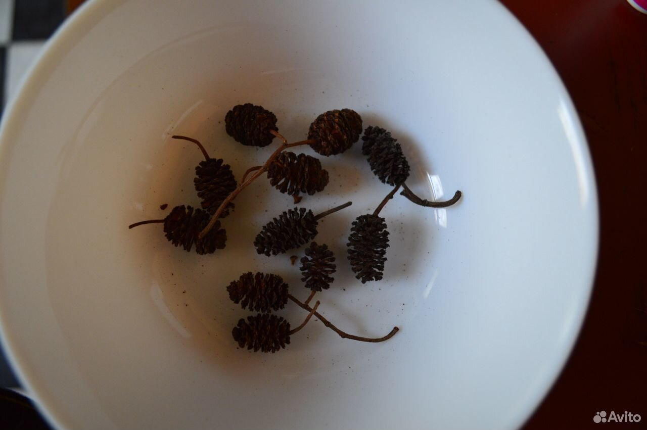 Шишки ольхи для аквариума