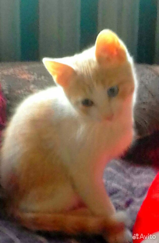 Солнечный Лучик в ваш дом