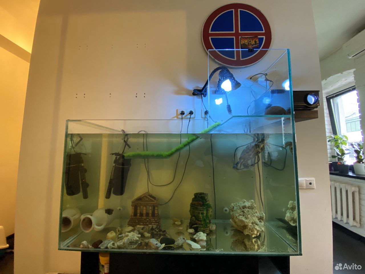 Аквариум черепашник с черепахой