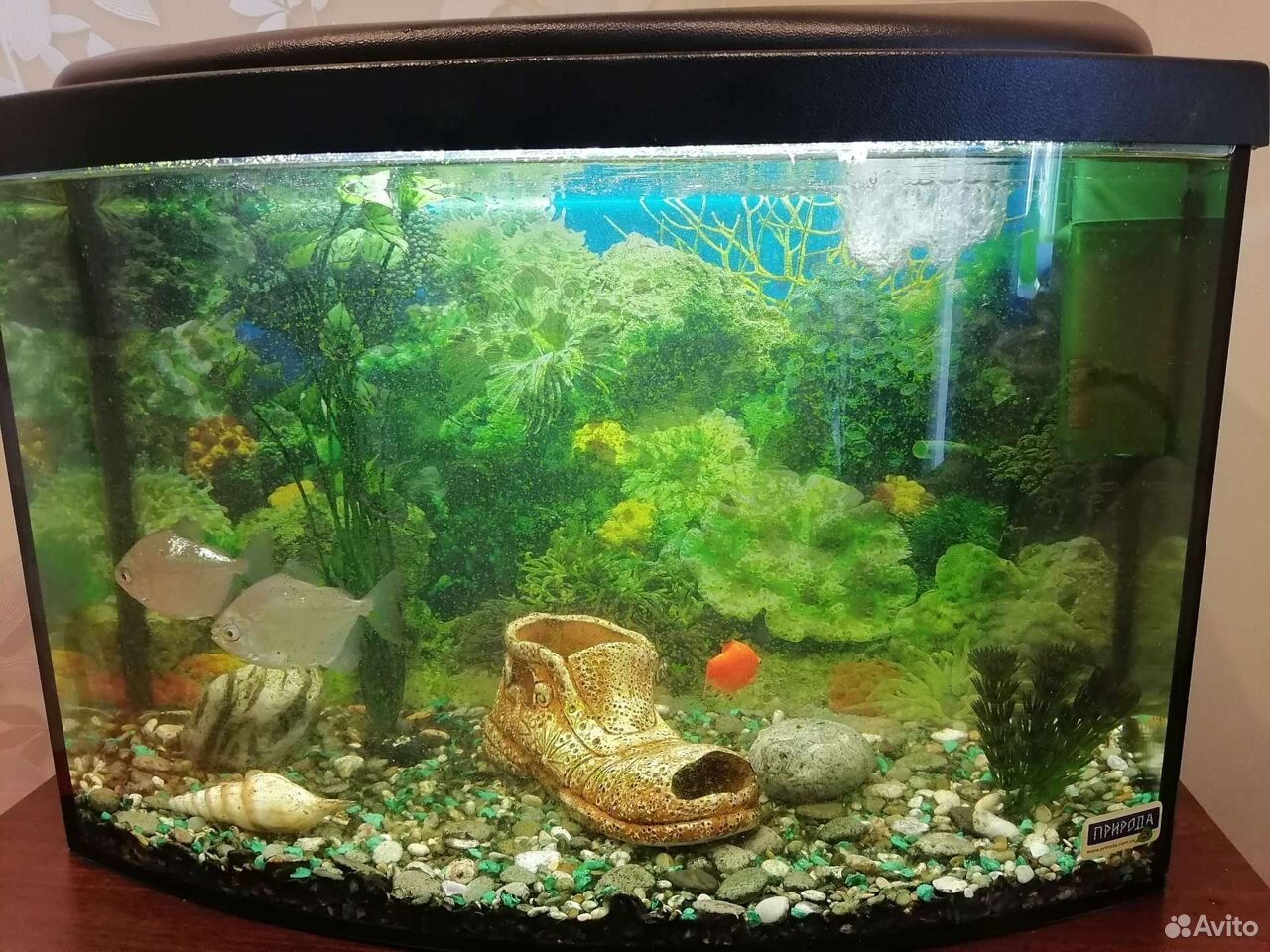 Аквариум 64 литра