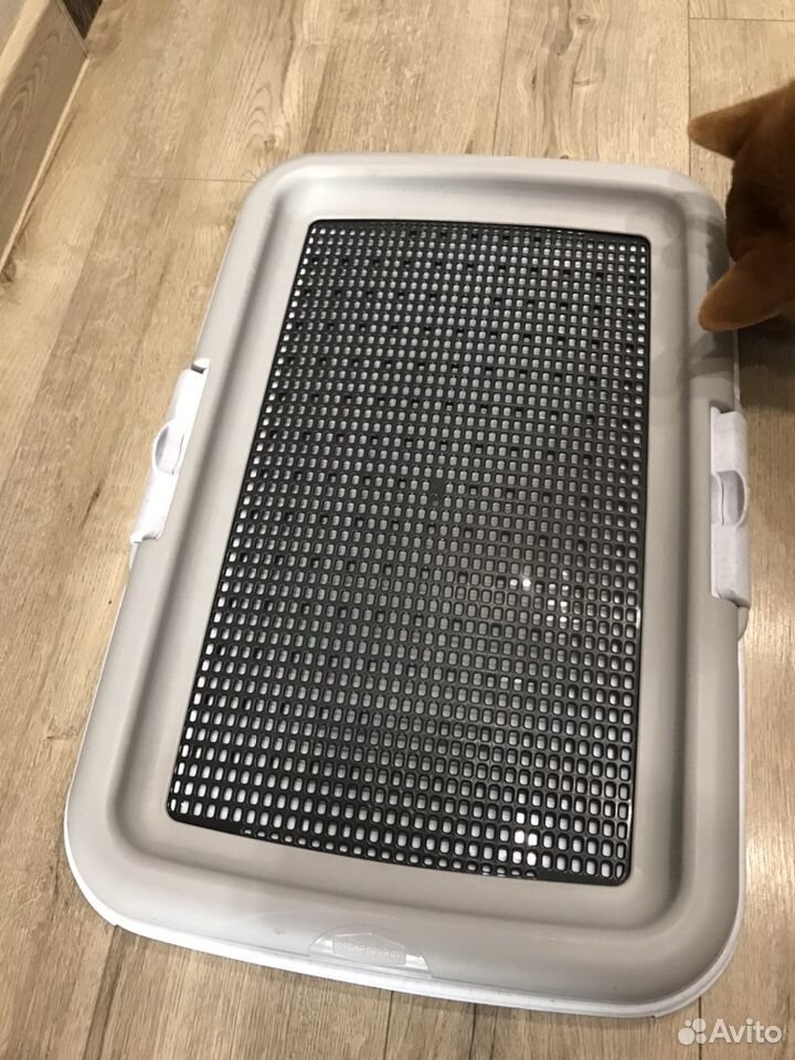 Лоток для собак