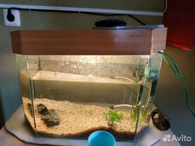 Аквариум 40 литров 1500