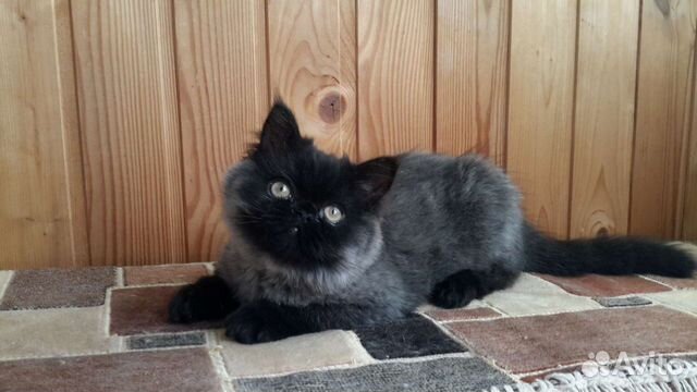 Персидская