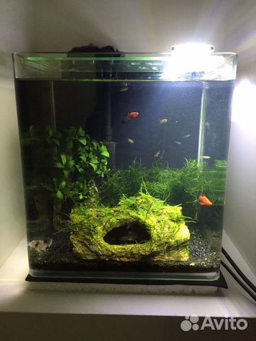 Аквариум
