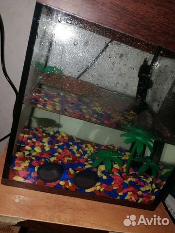 Аквариум на 40 литров