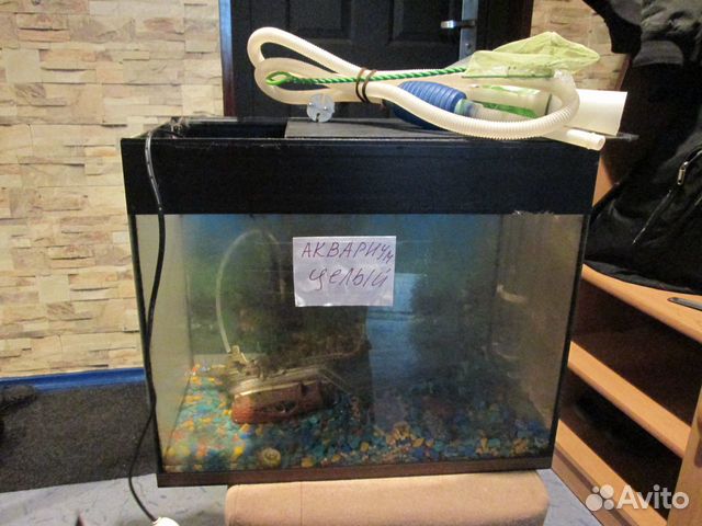 Аквариум