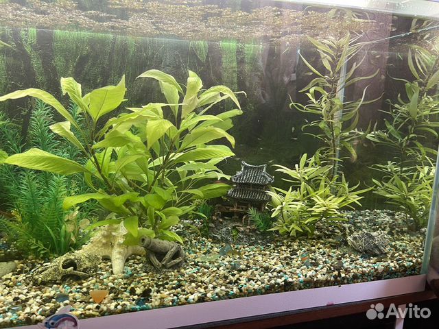 Украшение для аквариума