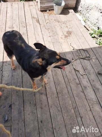 Москва и Московская область