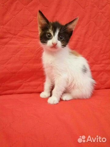 Изумительный ребенок