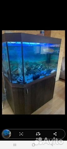 Аквариум