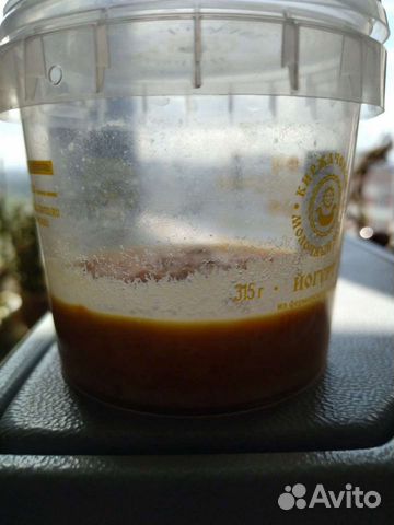 Нематода (уксусная угрица), гриндаль, корм для мал