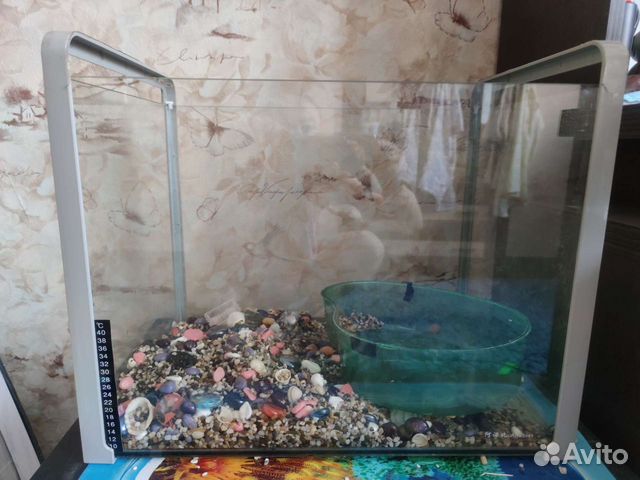 Аквариум 46 литров