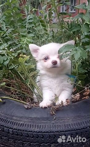 Вот такая красота