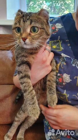 В ответственные руки