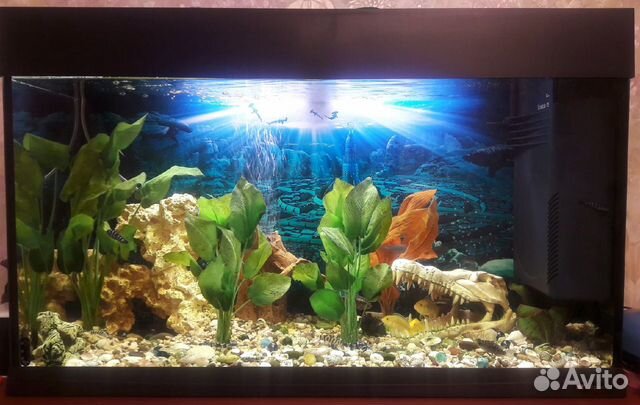 Продам аквариум + (декорации, рыбы, компрессор)