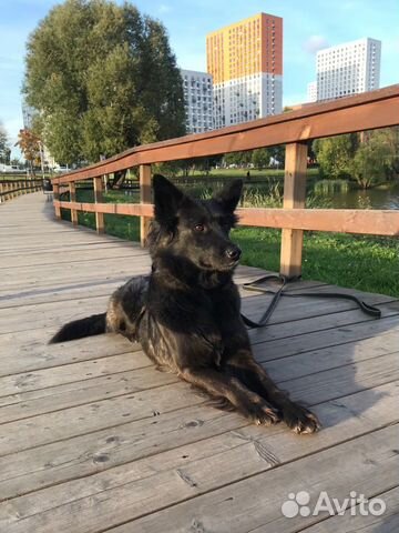 Красавица Адель ищет семью