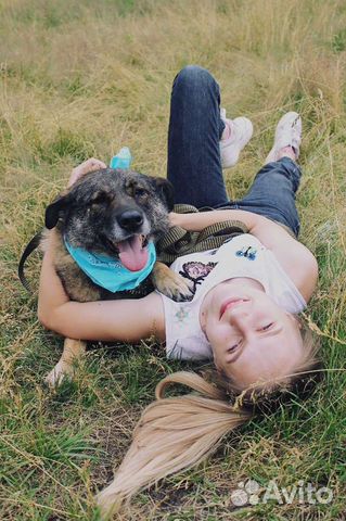 Собачка из приюта Дуня ищет дом