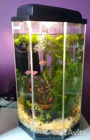 Аквариум 33 литра восьмигранный