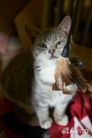 Потому что на 10 девчонок по статистике 9 ребят