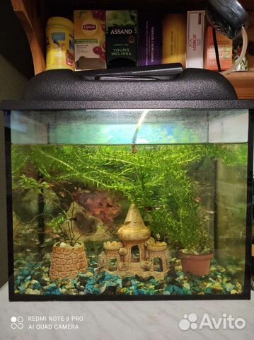 Аквариум
