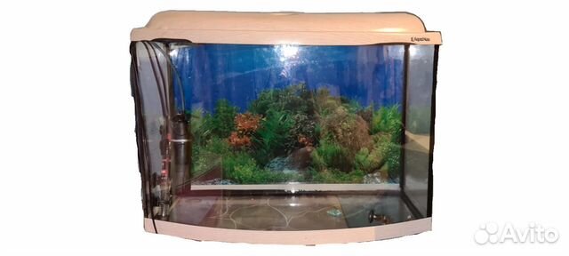 Продам Аквариум 60 литров