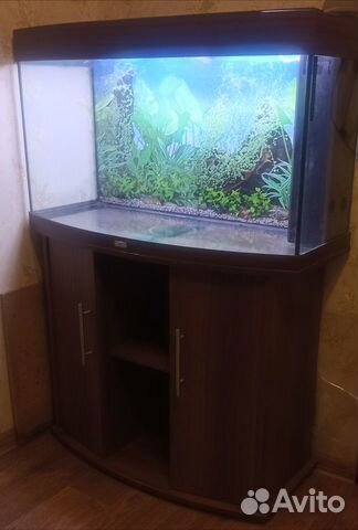 Аквариумаквариум 180 л Juwel Vision 180 LED темное