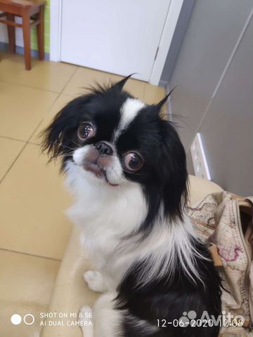 Японский хин для вязки