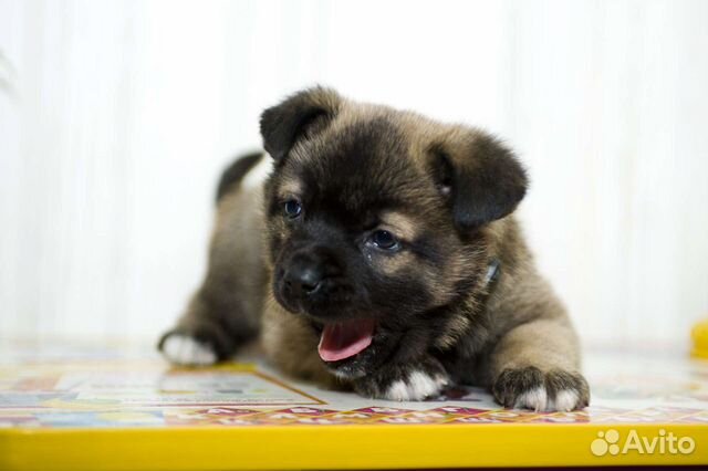 Очаровательная курносая малышка