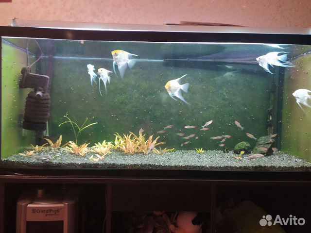 Аквариум с тумбой 300 литров