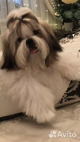 Невероятно красивый малыш