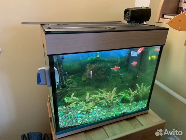 Аквариум с рыбками