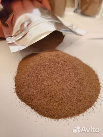 Цист Артемии