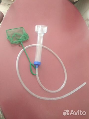 Аксолотль с аквариумом