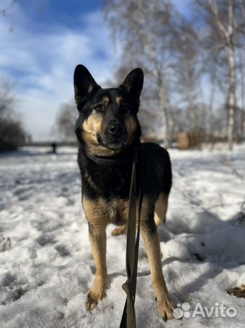 Ричар из приюта верит в любовь