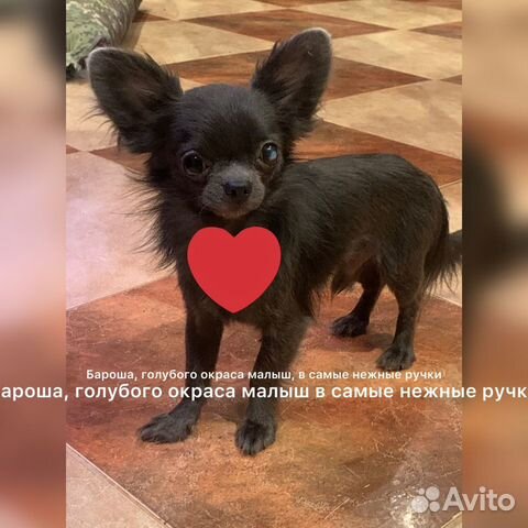 Очаровашка, голубой мальчик