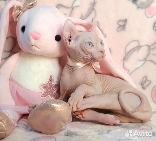 Эльф
