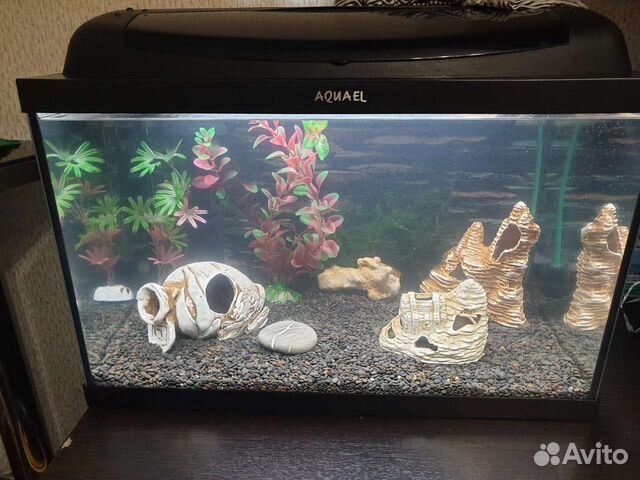 Аквариум aquael 45литров