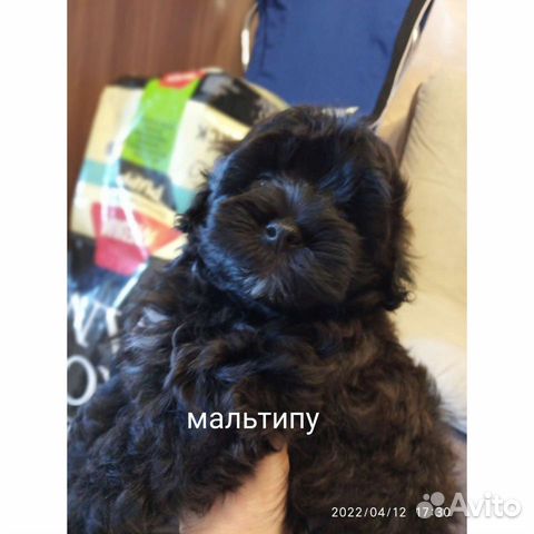 Мальчик мини