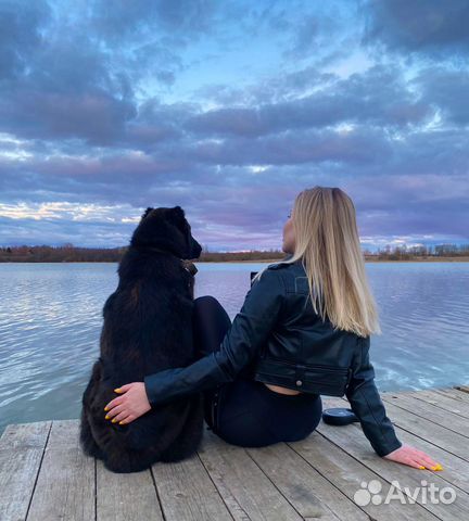 Спасенный алабай мальчик в добрые руки