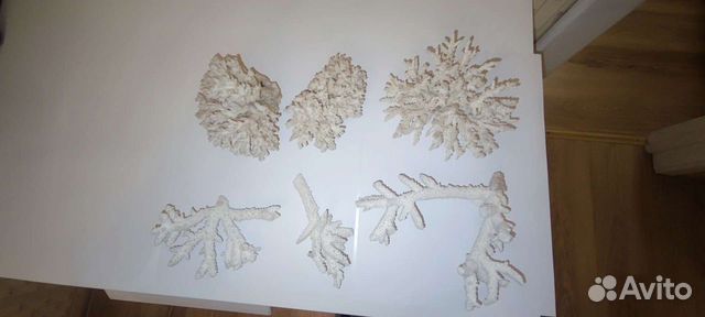 Морские кораллы натуральные