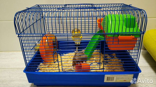 Хомяки джунгарики с клеткой