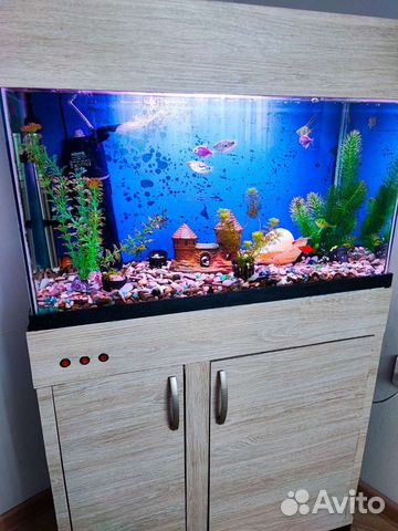 Аквариум с тумбой