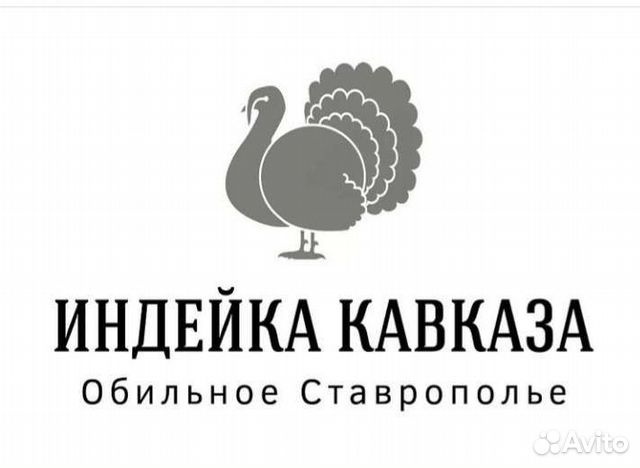 Фермерское Хозяйство индейка кавказа
