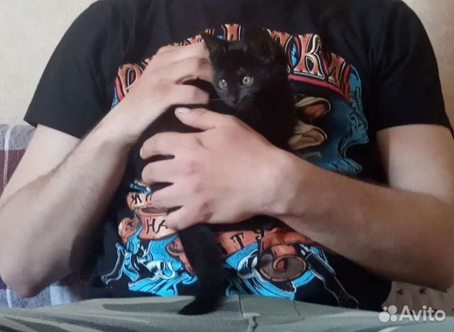Хочу домой