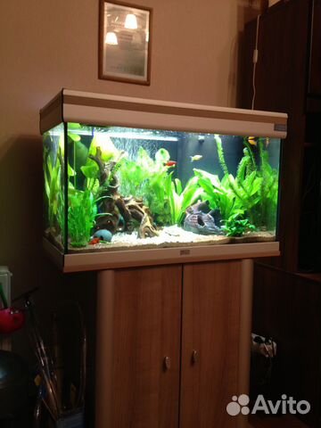 Аквариум Aquatlantis Ambiance 80 X 40 135 литров