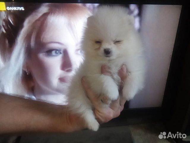 Крошик на ладошке